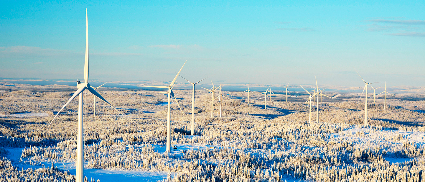 Så kan vindkraften växa hållbart