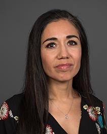 Miljardinvesteringar i Gävle-Dala-regionen hotas om inte elbehovet går ...